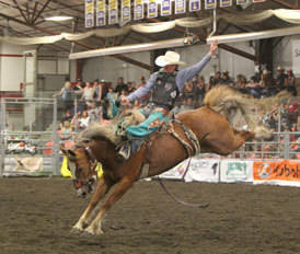 Pro Rodeo in Alberta | Professional Rodeo Events Leduc