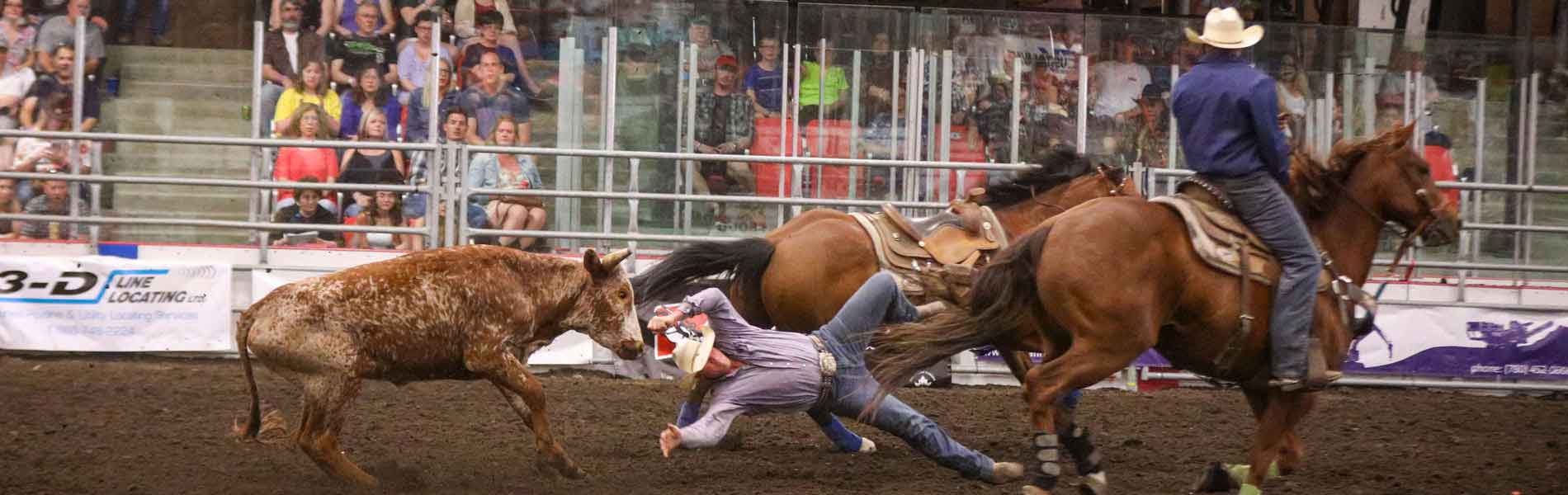 Pro Rodeo in Alberta | Professional Rodeo Events Leduc